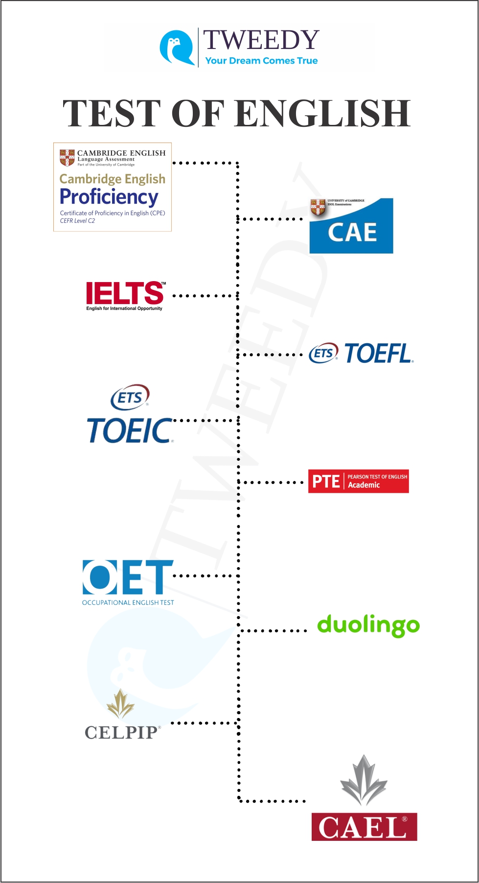 About - Tweedy Education Support Services